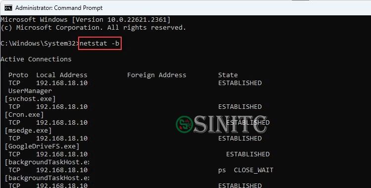 Cách sử dụng lệnh Netstat trong Windows 11 để giám sát các hoạt động mạng