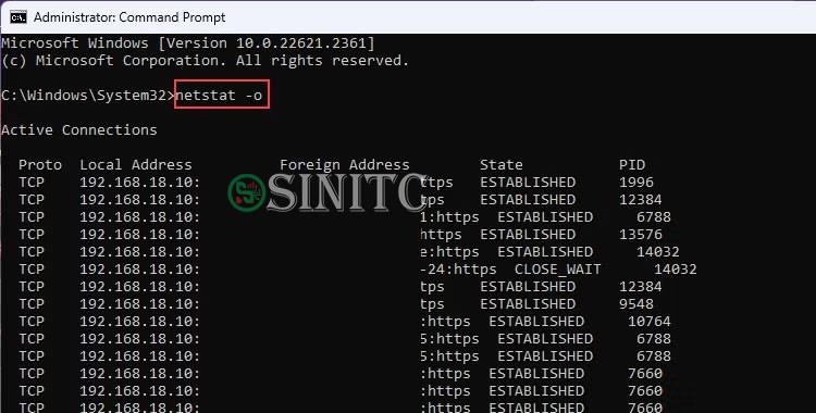 Cách sử dụng lệnh Netstat trong Windows 11 để giám sát các hoạt động mạng