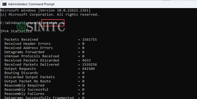 Cách sử dụng lệnh Netstat trong Windows 11 để giám sát các hoạt động mạng